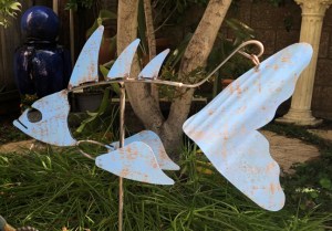 Fish Photos – Welcome to KineticFish.com